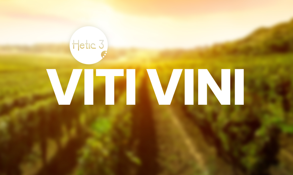 Hetic3, Intégrateur ERP Infor M3